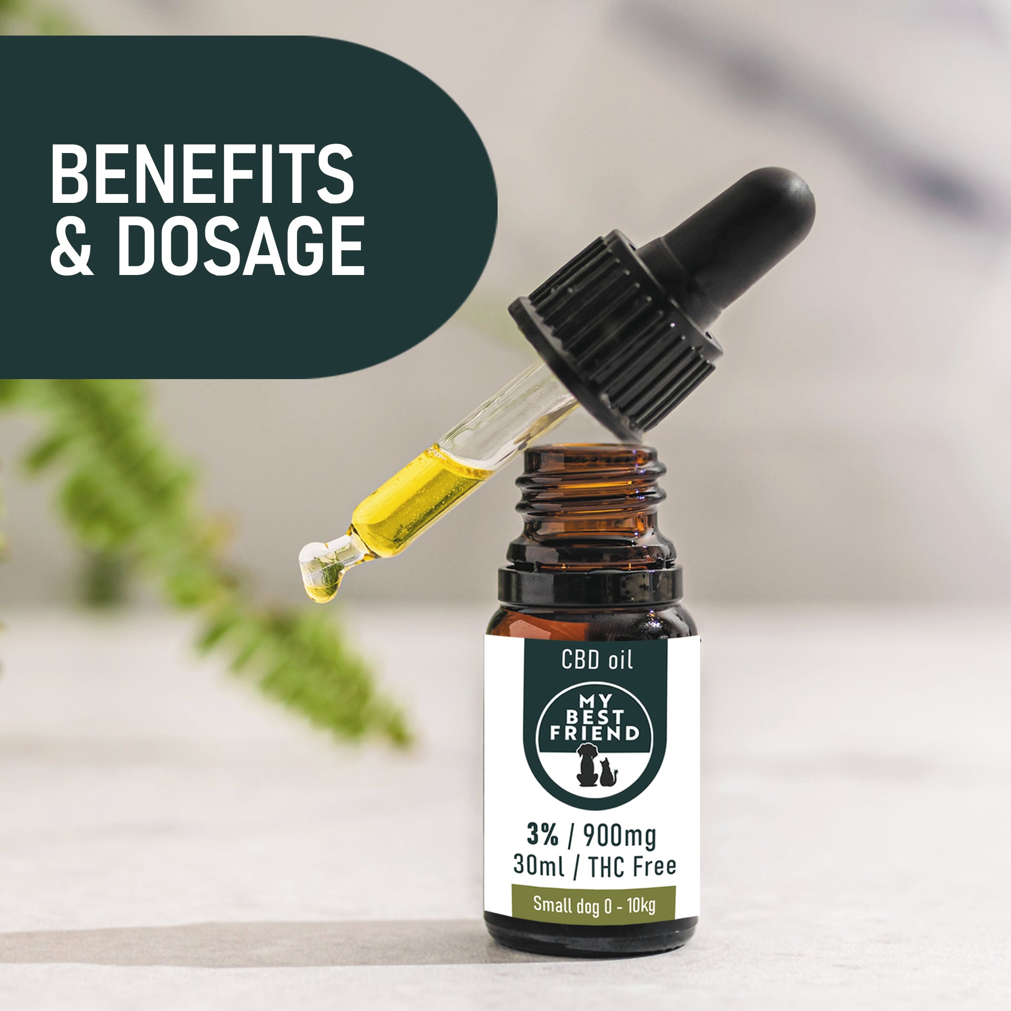 Can You Give Dog Regular Cbd Oil